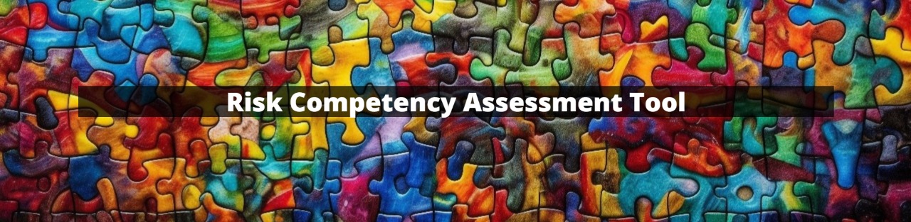 Risk Competency Assessment Tool (R-CAT) | The Institute of Risk Management South Africa